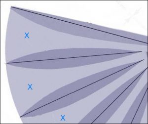 Smith Horn: alles was du darüber wissen musst!